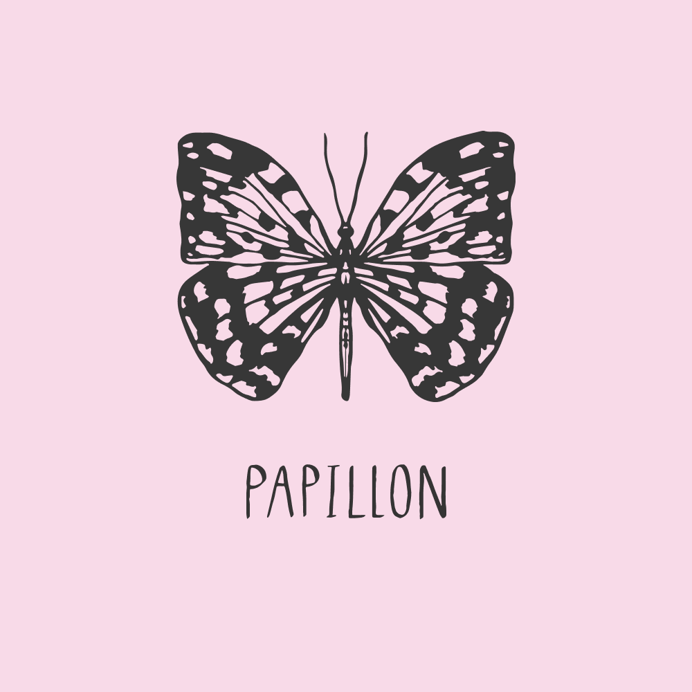 Papillion - Hope Street - LIverpool